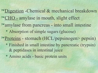 NUR101-ModuleO à telecherger système digestif | PPT