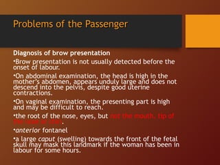Comprehensive Nursing Care for High-Risk Labor: Fetal Malpositions and ...