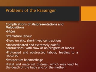 Comprehensive Nursing Care for High-Risk Labor: Fetal Malpositions and ...