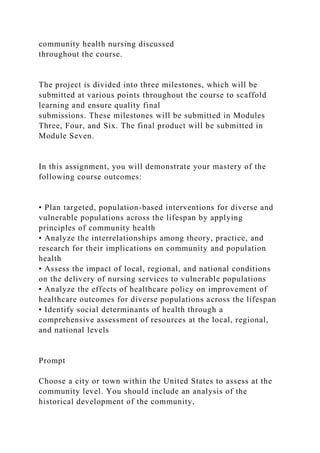 NUR 350 Final Project Guidelines and Rubric Overview .docx