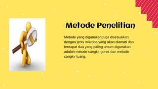 NUR ARAFAH TUGAS MIKROBIOLOGI PPT 1.pptx