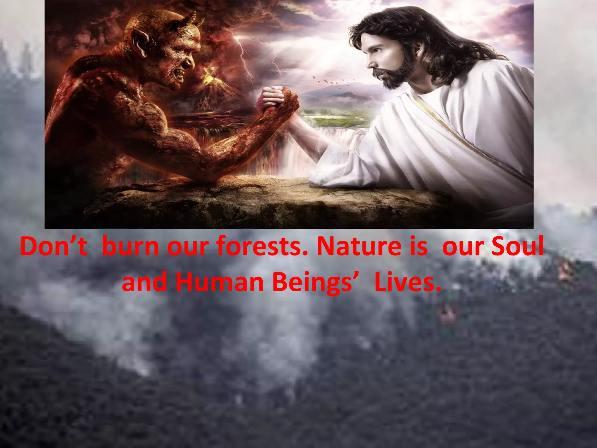 Stop forest fires | PPS