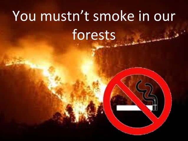 Stop forest fires | PPT