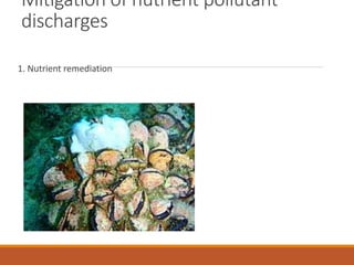 Nurient pollution | PPT