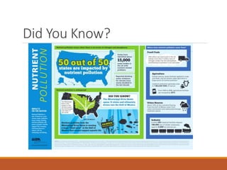 Nurient pollution | PPT
