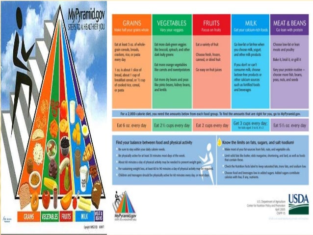 My Plate, My pyramid and food guide pyramid