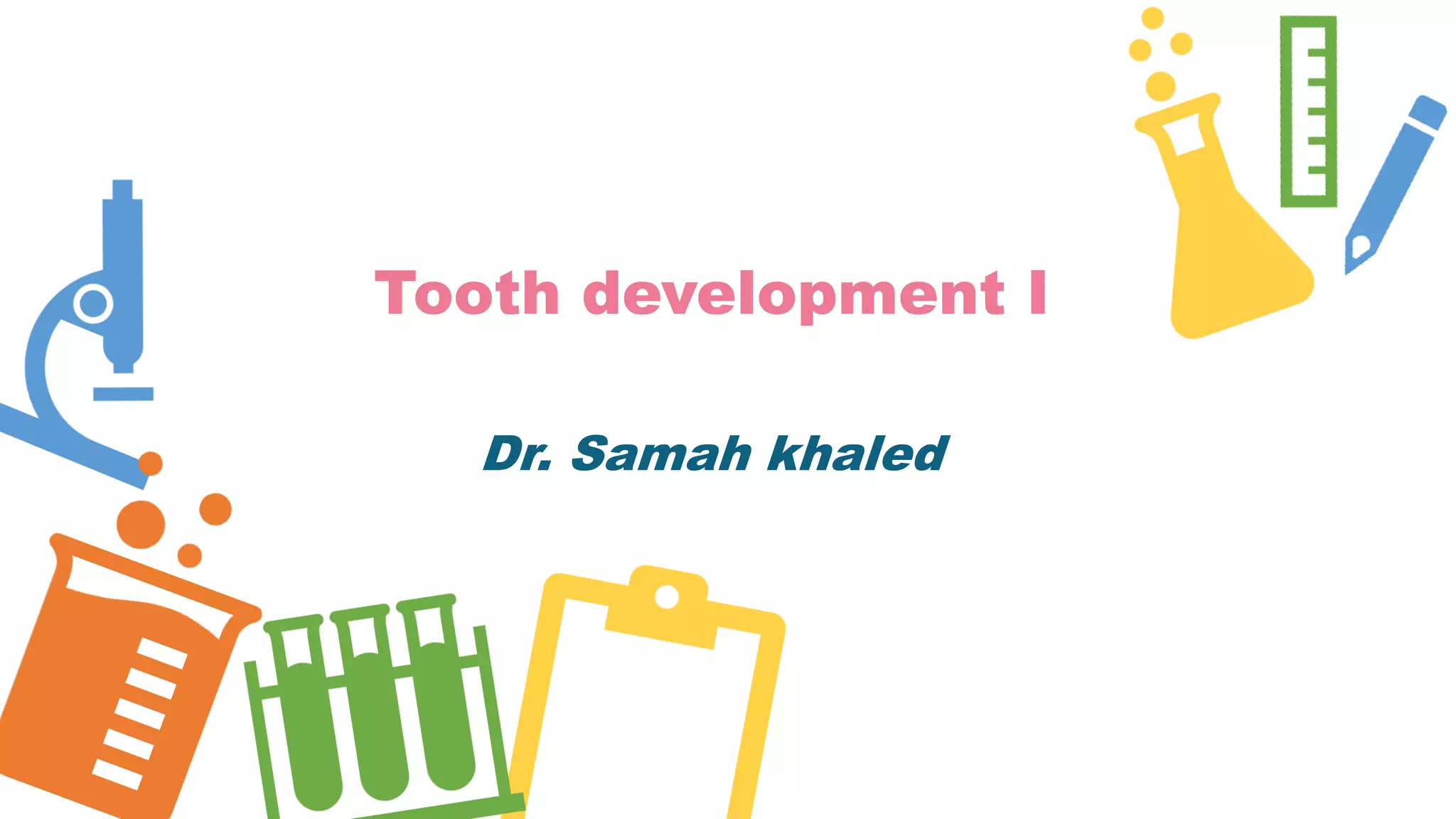 Tooth development 1 | PPTX