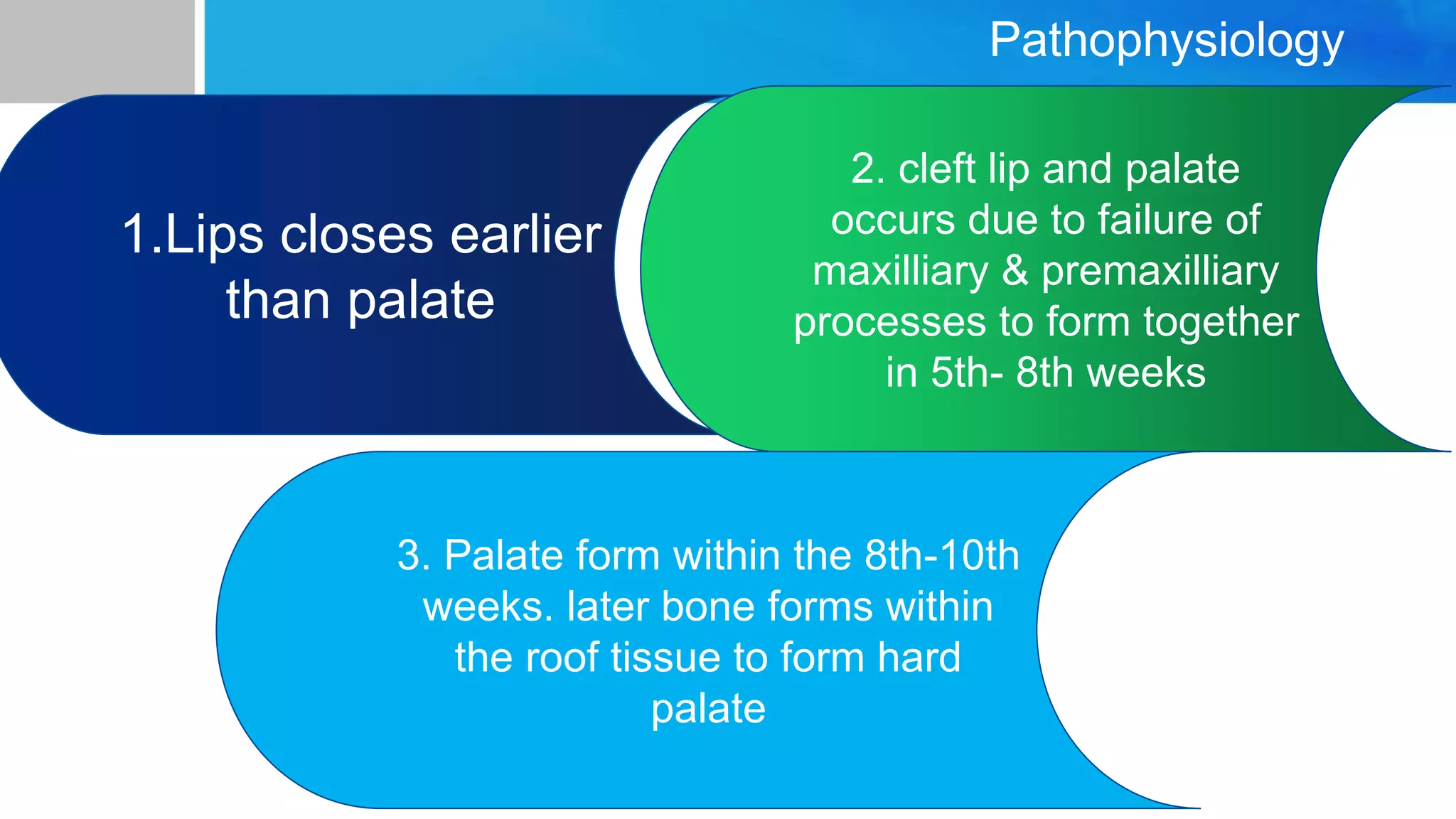 Omphalocele/Exomphalos, cleft palate & Oesophageal atresia and Nursing ...