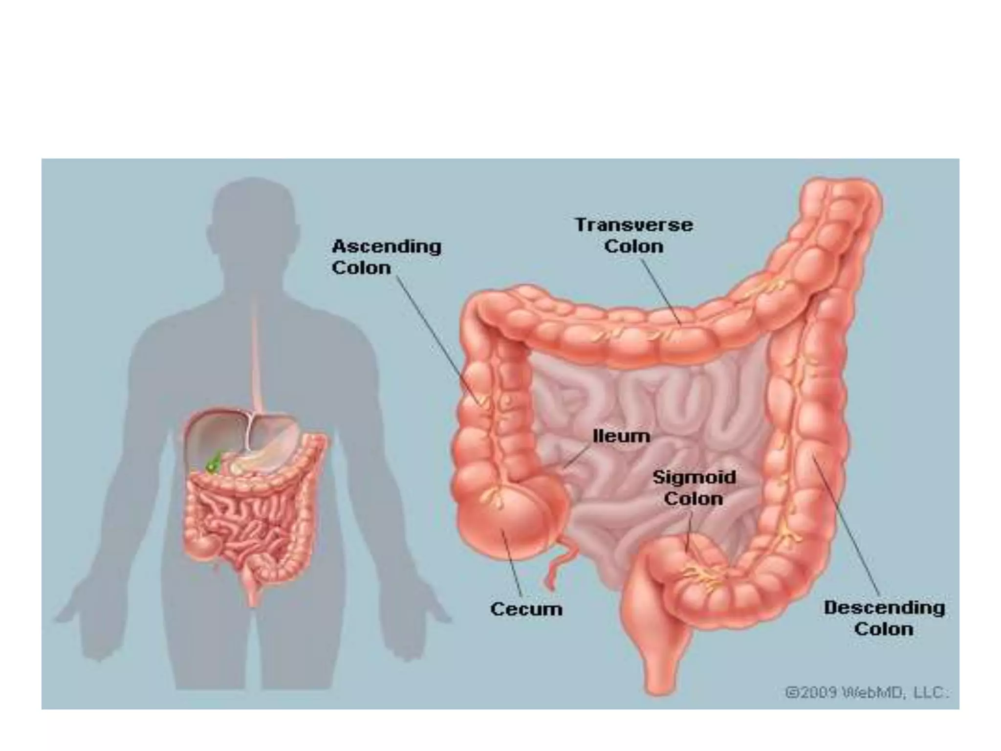Nursing Care for Colostomy | PPTX