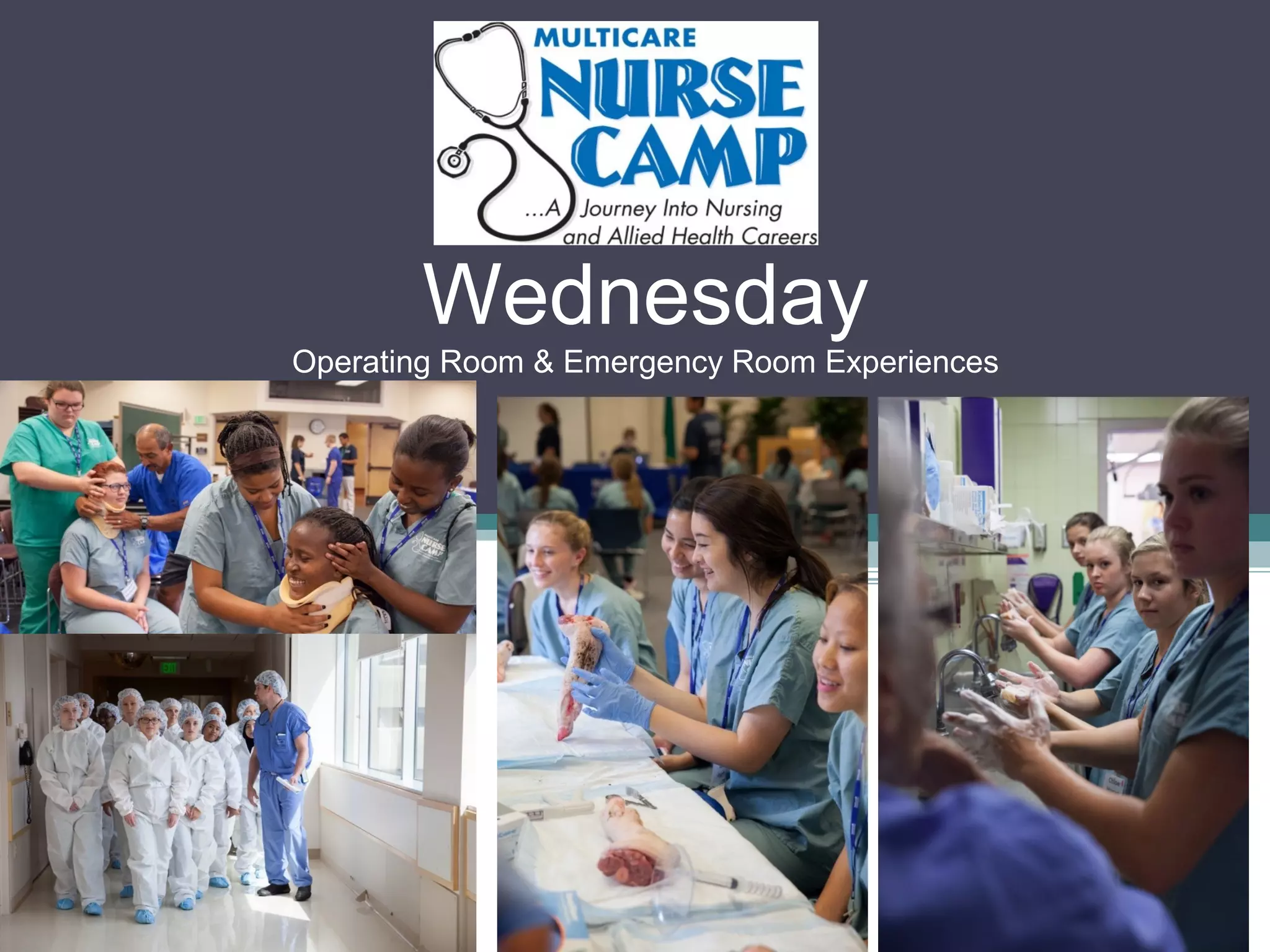 MultiCare Nurse camp final presentation 2015 | PPT