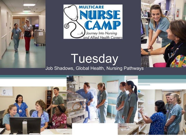 MultiCare Nurse camp final presentation 2015 | PPT