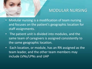 Nurse care delivery system | PPTX