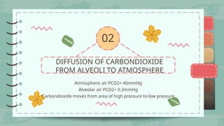Exchange of gases - Transport of oxygen and carbondioxide | PPTX