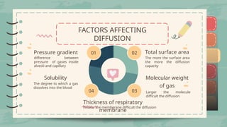 Exchange of gases - Transport of oxygen and carbondioxide | PPTX