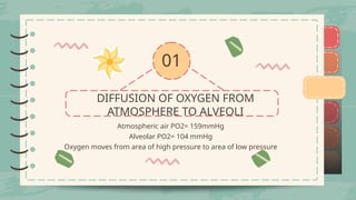 Exchange of gases - Transport of oxygen and carbondioxide | PPTX