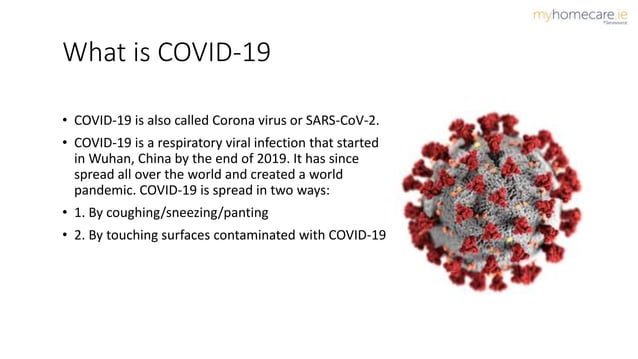 Nurse induction final rev 2020 (1) | PPTX