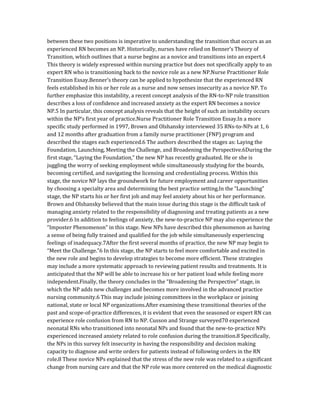 Nurse Practitioner Role Transition.docx