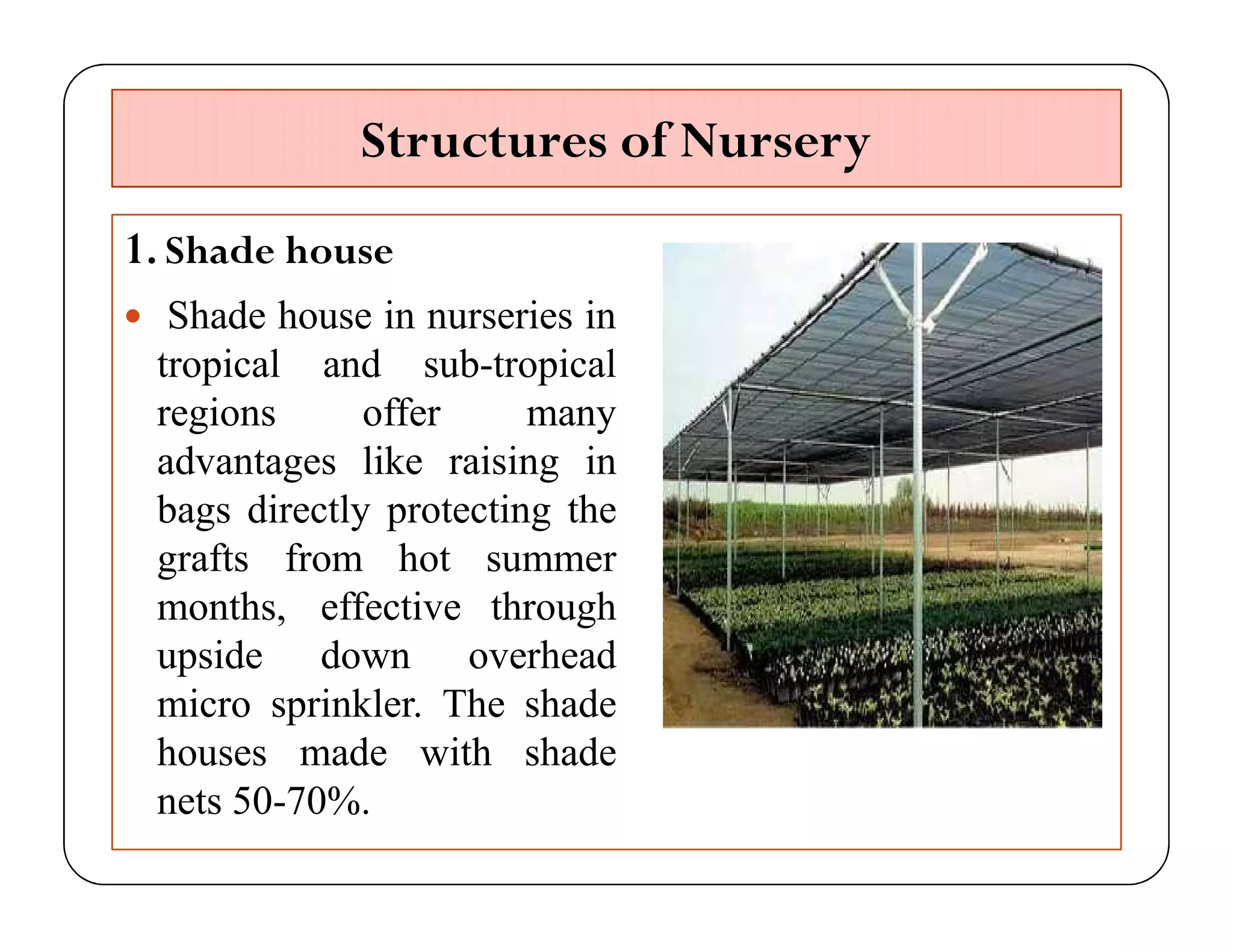 Nursery types, Structure, Components, Planning and Lay out of Nursery | PDF