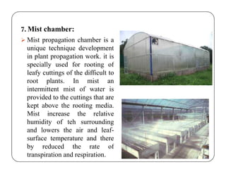Nursery types, Structure, Components, Planning and Lay out of Nursery | PDF
