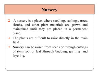 Nursery types, Structure, Components, Planning and Lay out of Nursery | PDF