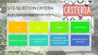 Nursery Site Selection, Layout & Development.pptx