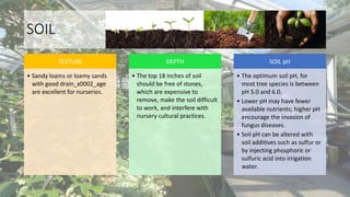 Nursery Site Selection, Layout & Development.pptx