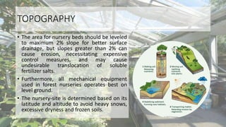 Nursery Site Selection, Layout & Development.pptx