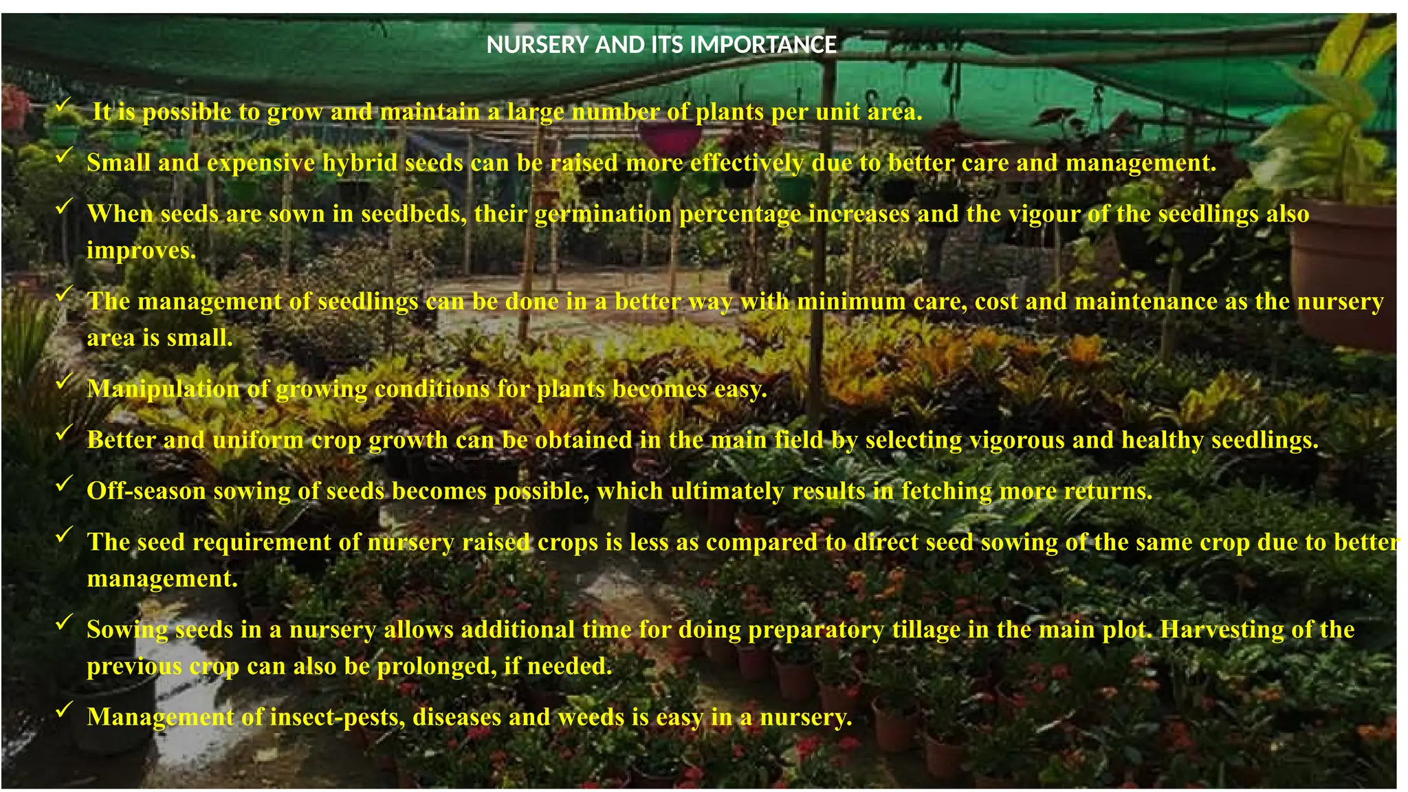 An Introduction to Nursery and It's Types | PPTX