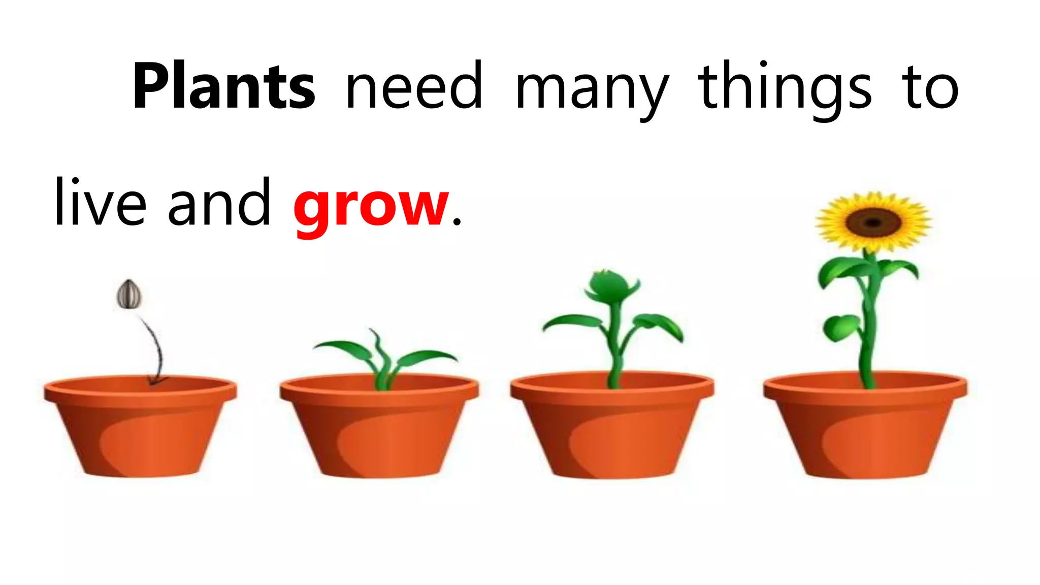 Needs of Plants | PPTX | Gardening | Home & Garden