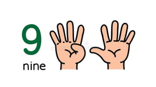 Number 9 | PPTX | Birdwatching | Hobbies & Interests