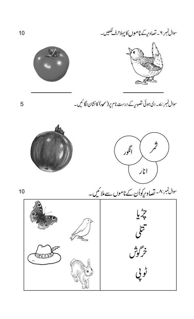 Nursery all papers | PDF | Educational Assessment | Education