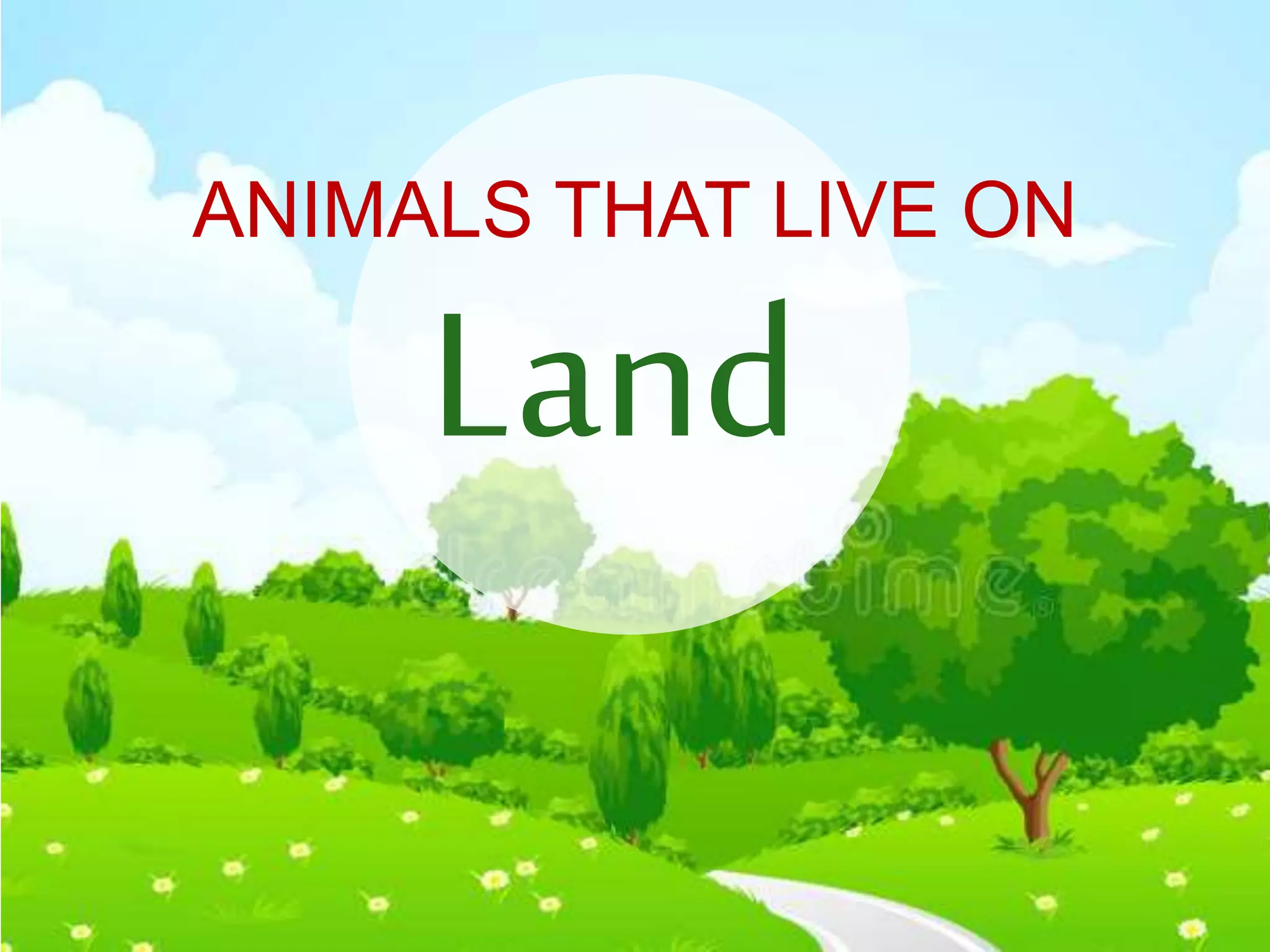 Animal Habitat - Land, Water, and Both Land and Water | PPTX