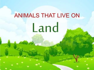 Animal Habitat - Land, Water, and Both Land and Water | PPTX