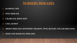 Common Nursery Diseases occurring in plants.pptx