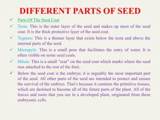 seed production, Nursery & Gardening.pdf