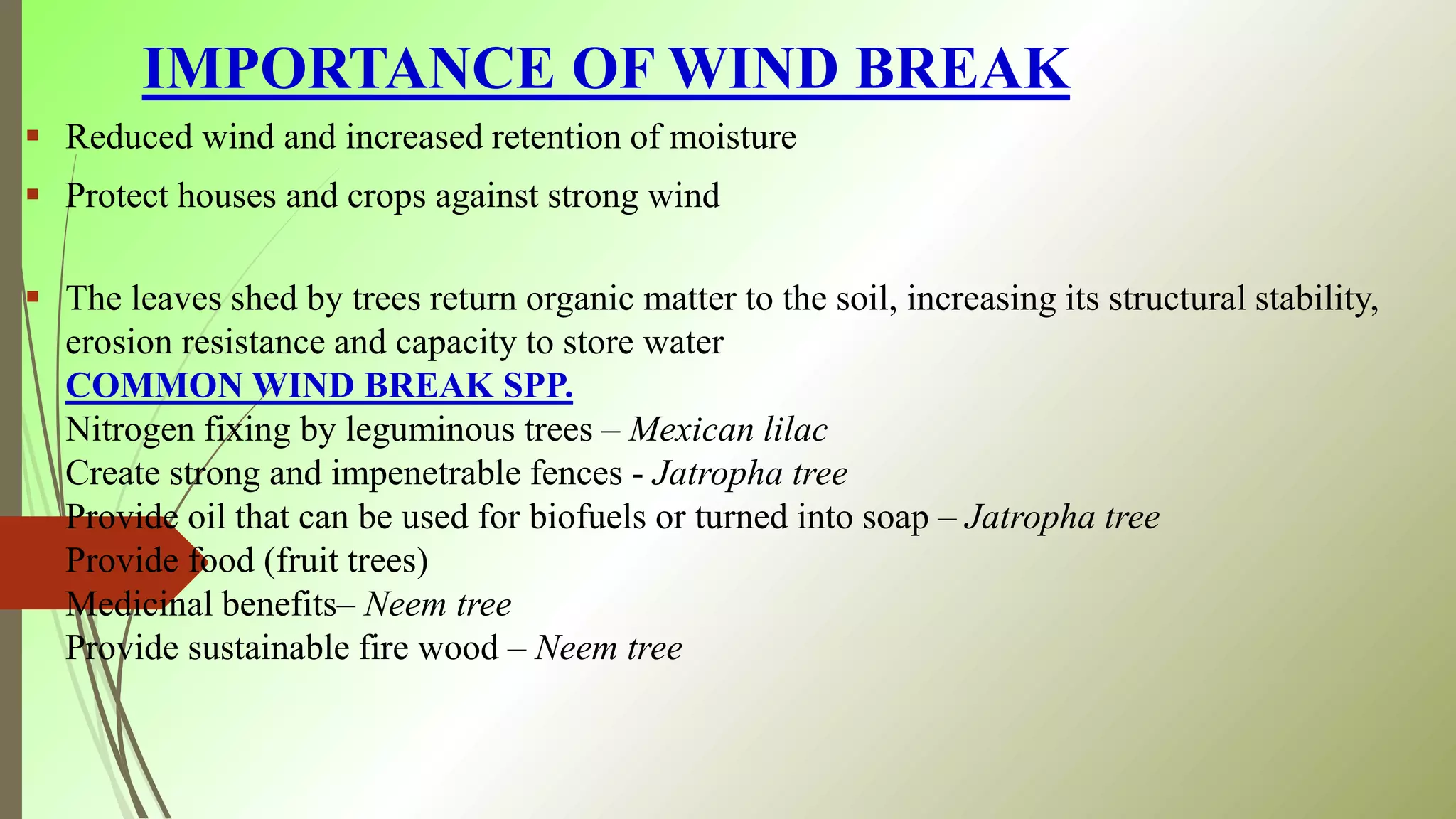 Nursery layout | PPTX