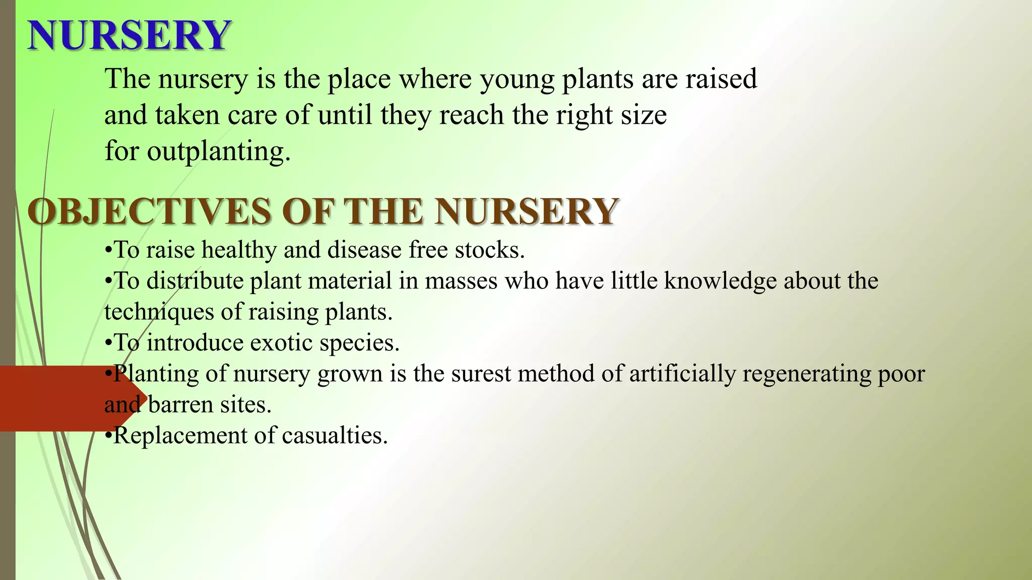 Nursery layout | PPTX