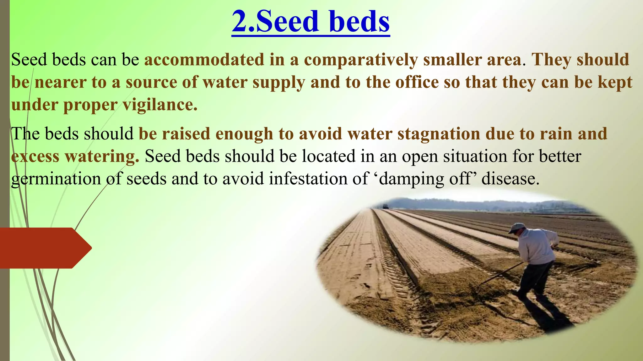Nursery layout | PPTX