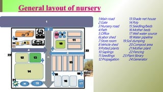 Nursery layout | PPT