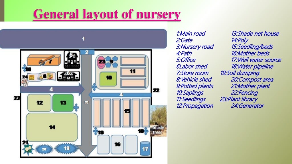 Nursery layout Nursery layout
