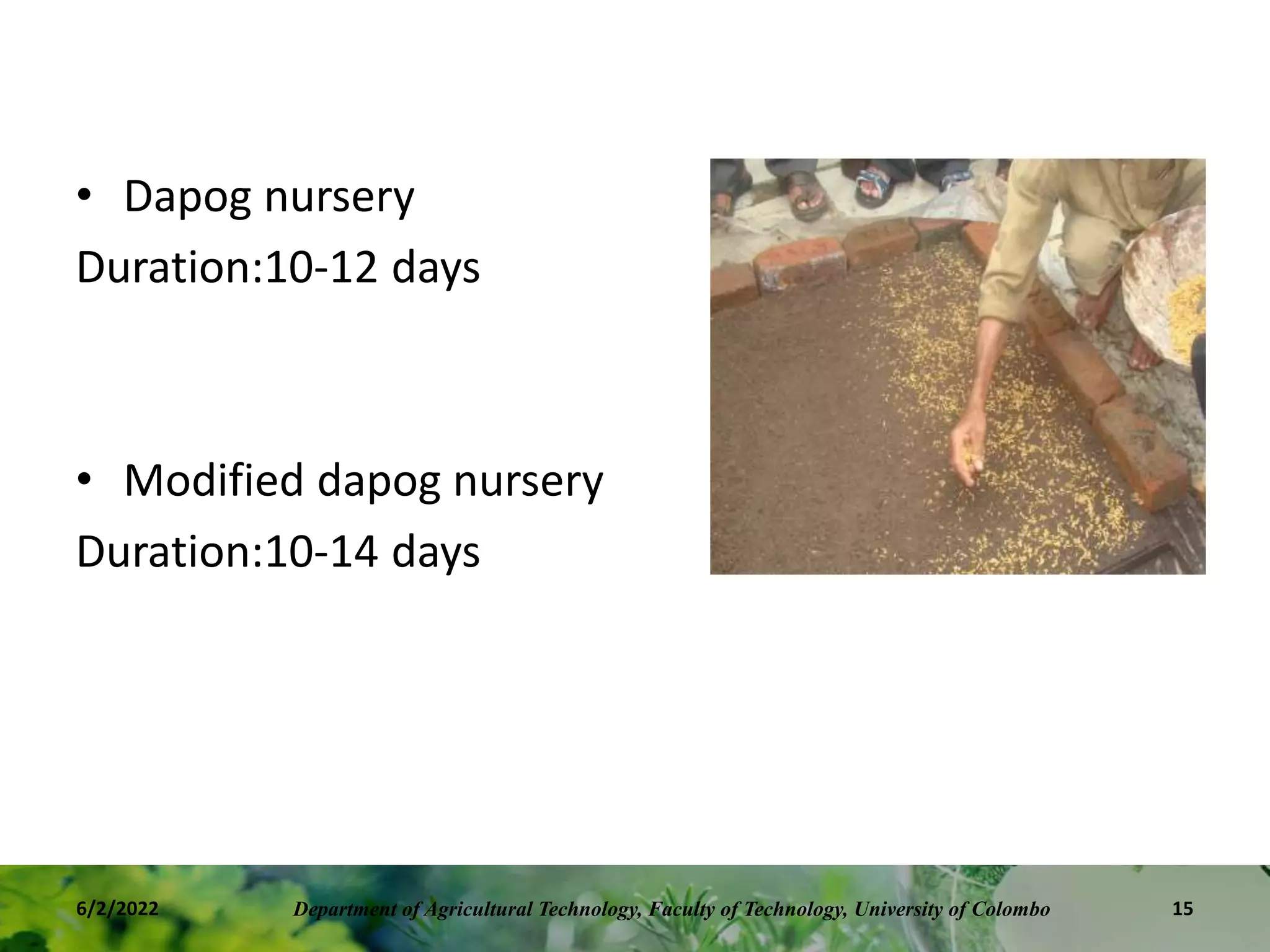 NURSERY MANAGEMENT.pptx