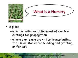 NURSERY MANAGEMENT.pptx