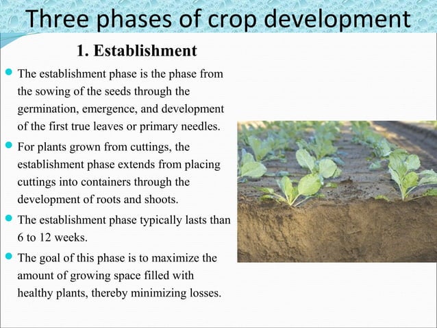 Nursery management part 1 | PPT