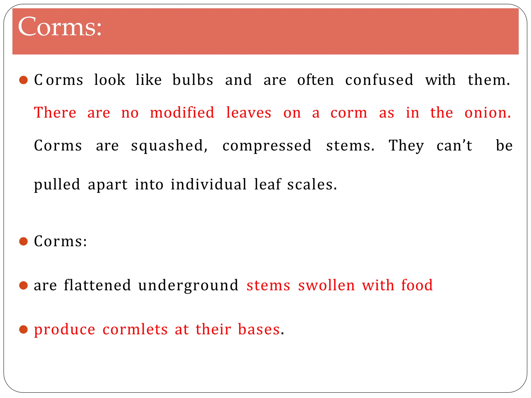 nursery presentation.pptx