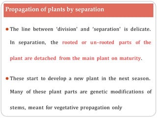nursery presentation.pptx