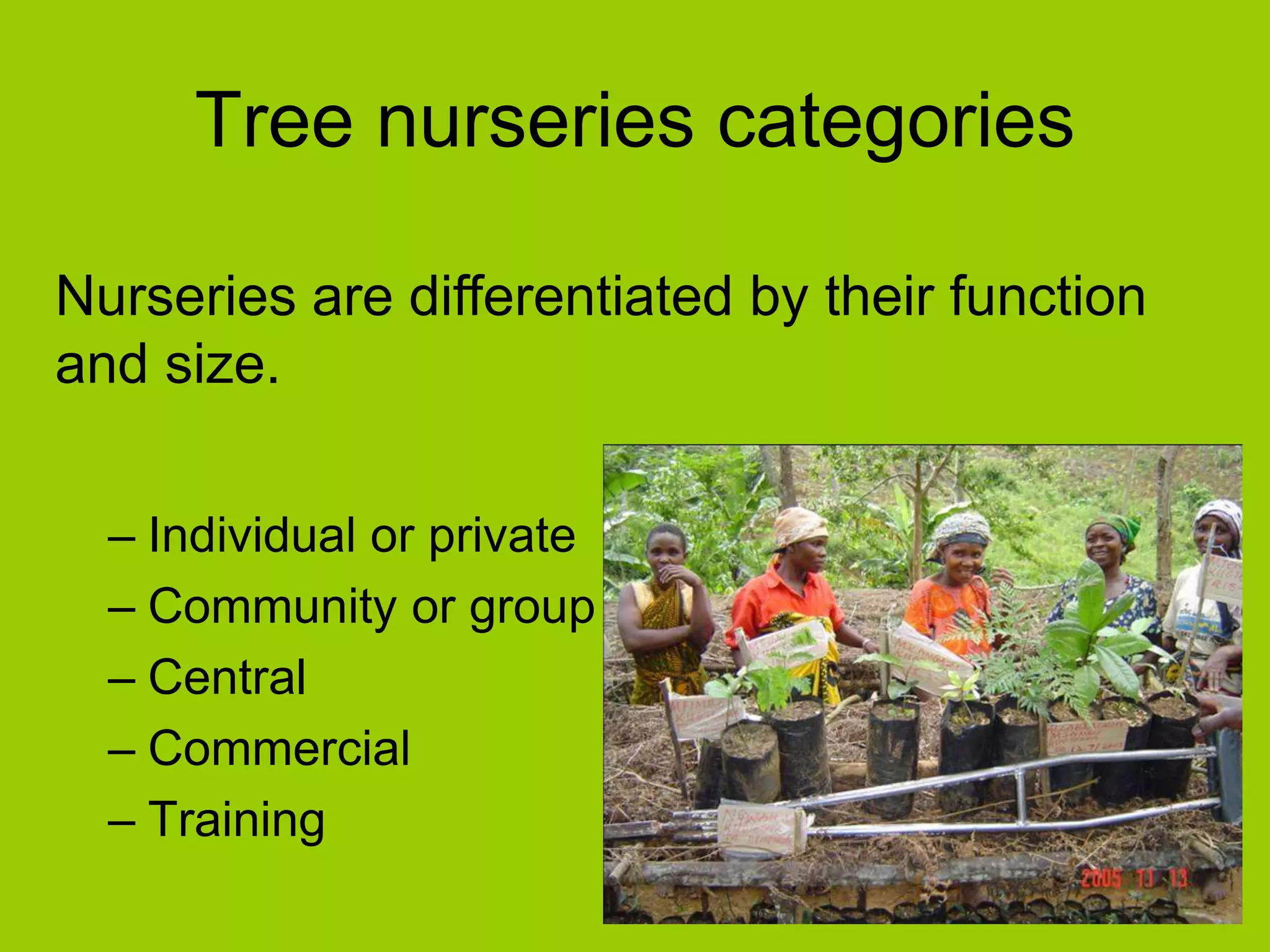 Nursery production-Seedling Handling | PPTX