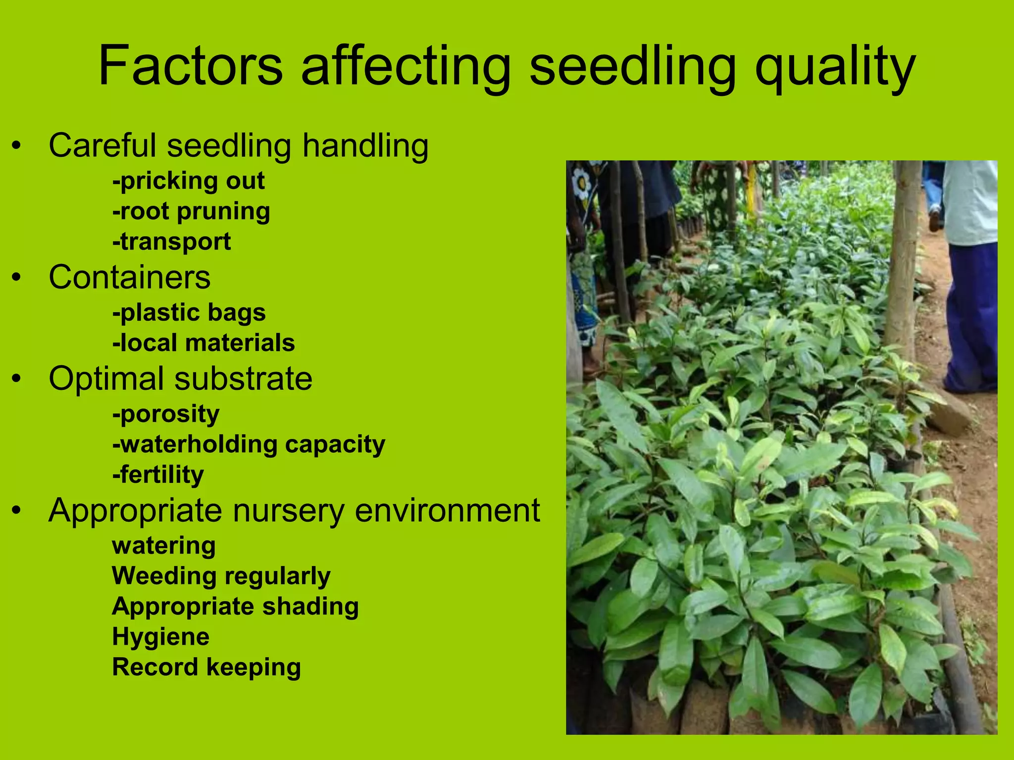 Nursery production-Seedling Handling | PPTX
