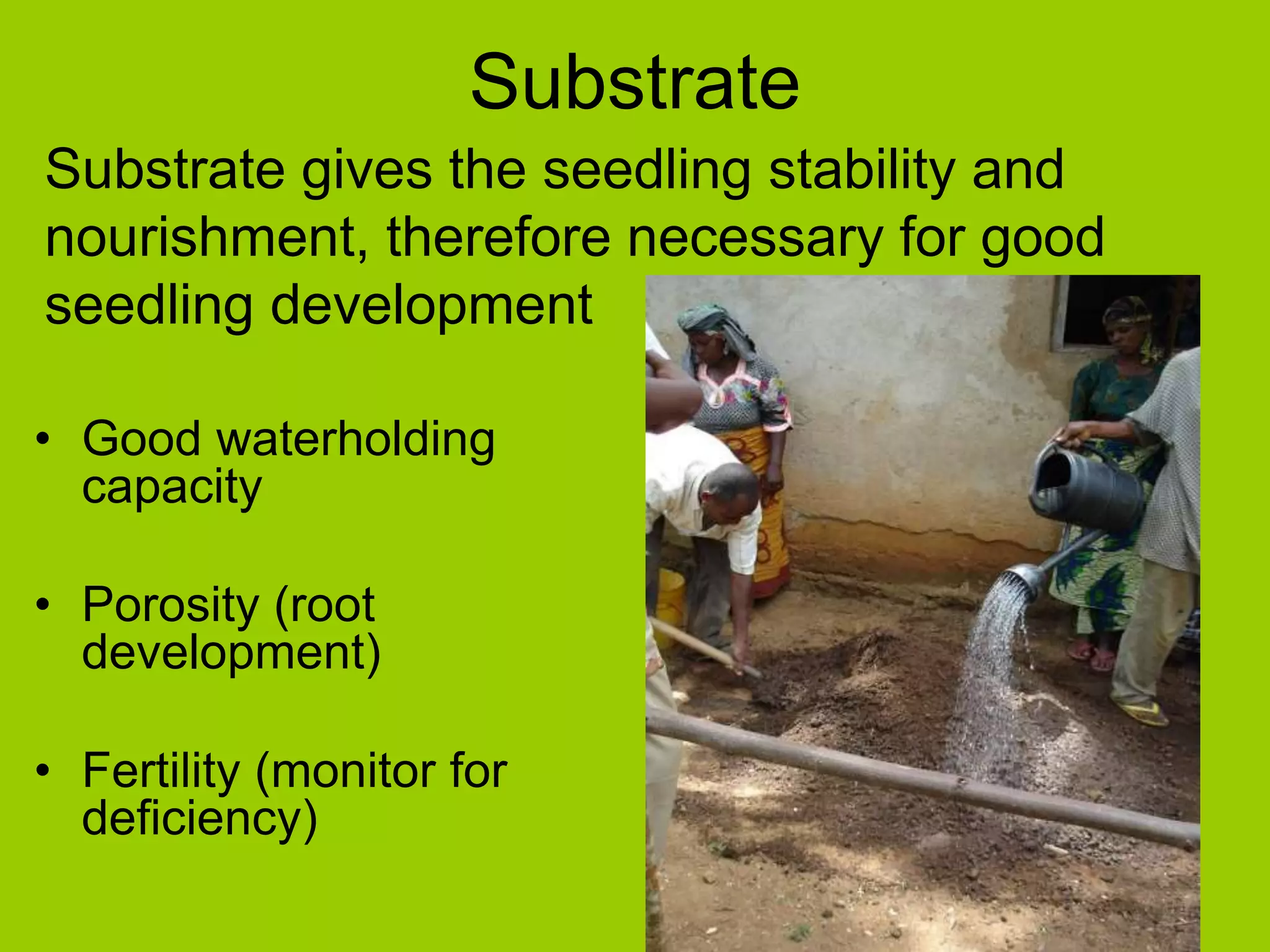 Nursery production-Seedling Handling | PPTX