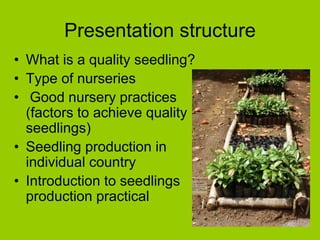 Nursery production-Seedling Handling | PPTX
