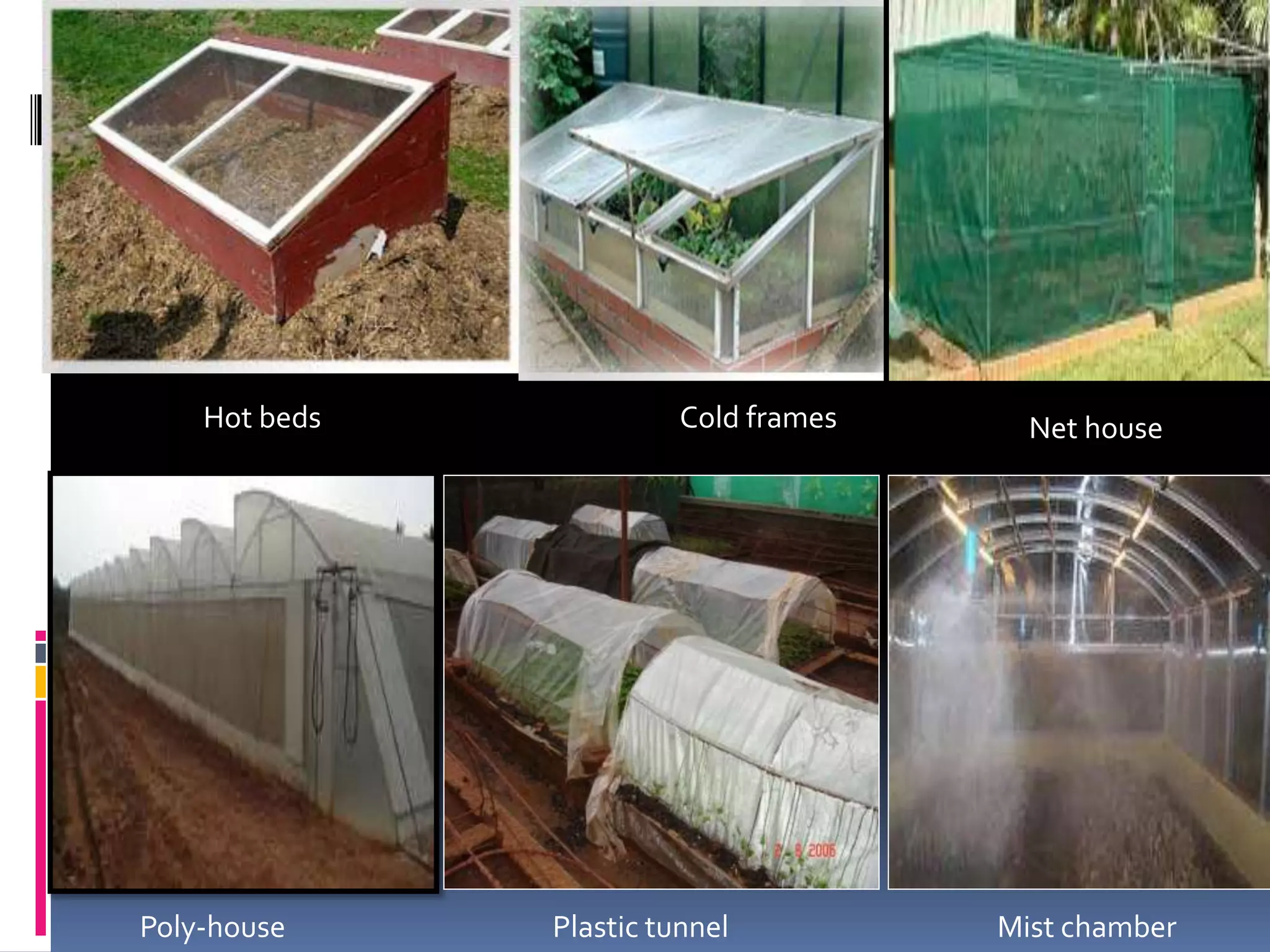 Nursery raising under protected structures | PPTX